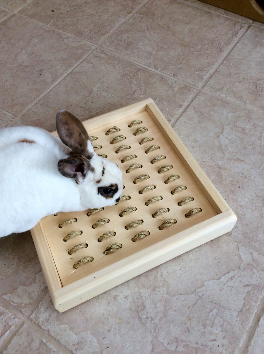 Bunny Rabbit Sisal Digging Box – BunnyRabbitShop