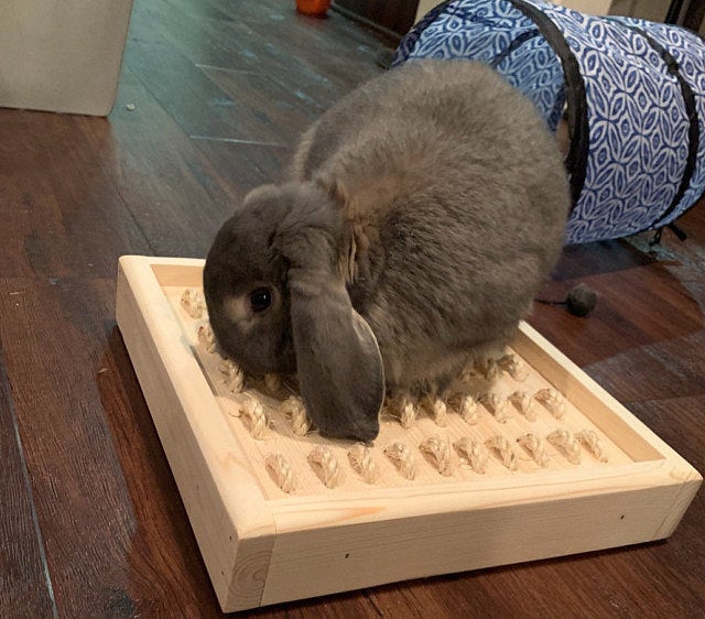 Bunny Rabbit Sisal Digging Box – BunnyRabbitShop